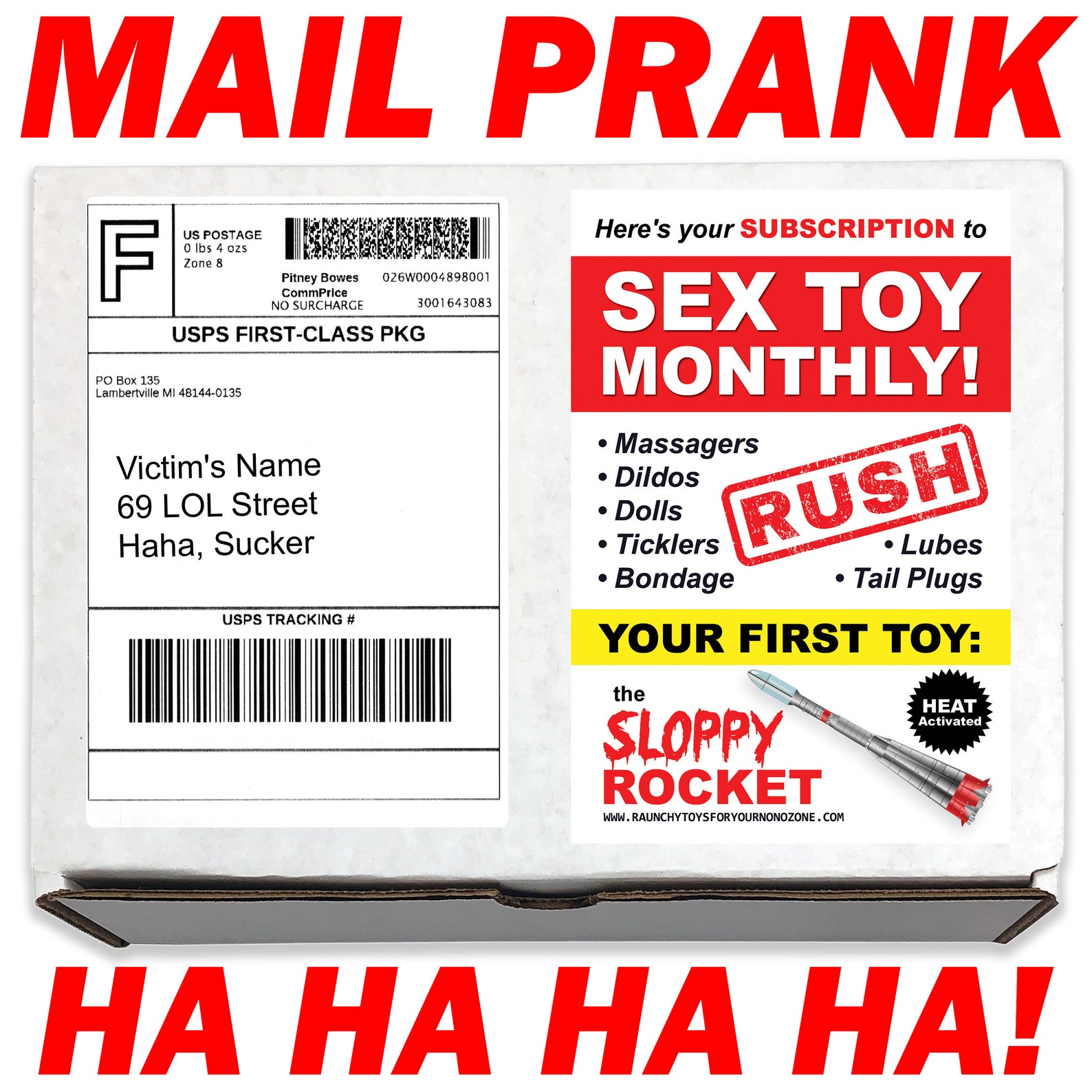 Prank Mail Sex Toy Monthly Prank Box Gag T Funny Prank Etsy