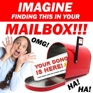 Funny Dong Prank Joke Fake Product Package Sent Directly to Your ...
