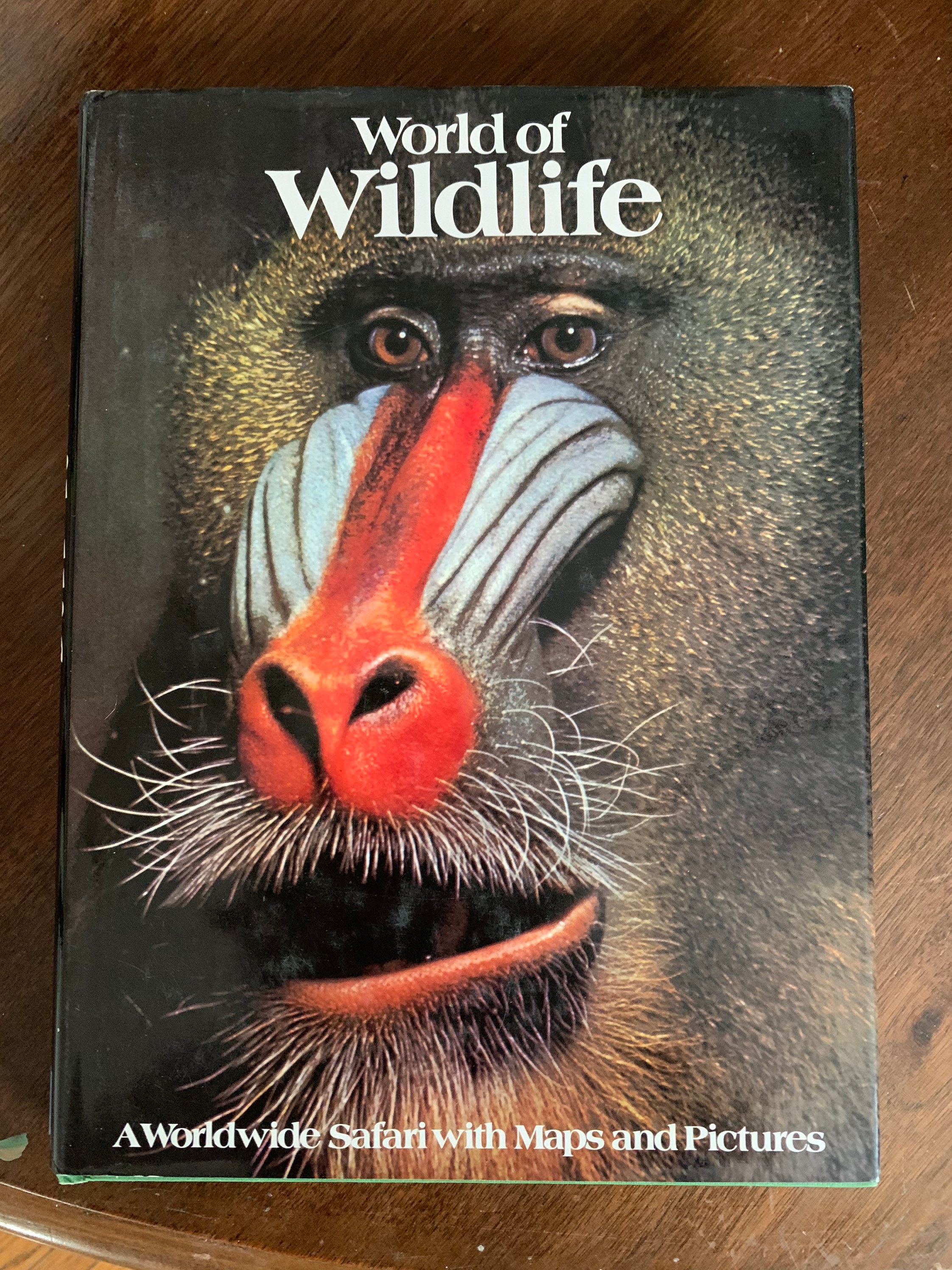 Vintage 1985 World of Wildlife Book - Etsy