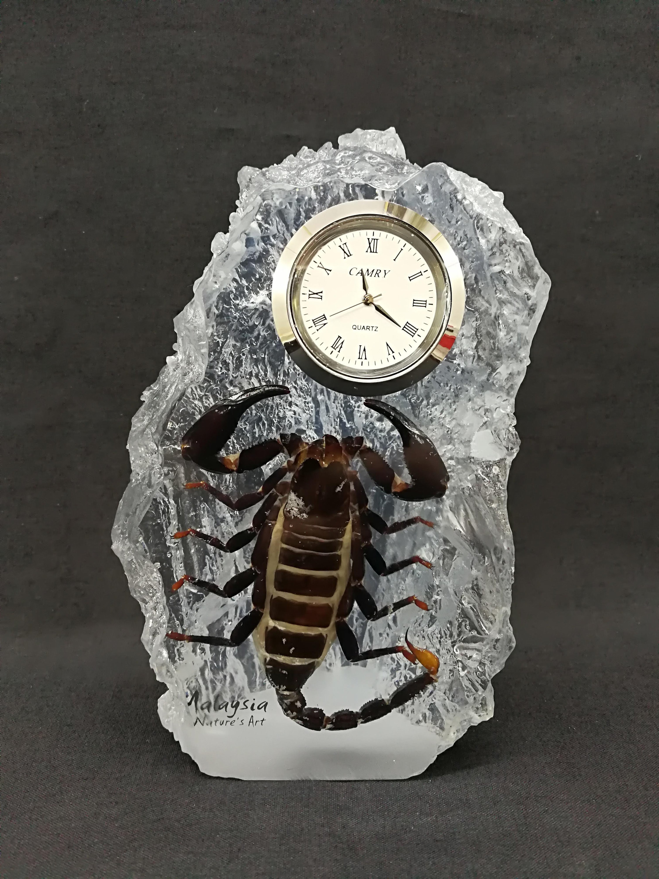 Deco Clock Real Scorpion in Resin - Etsy