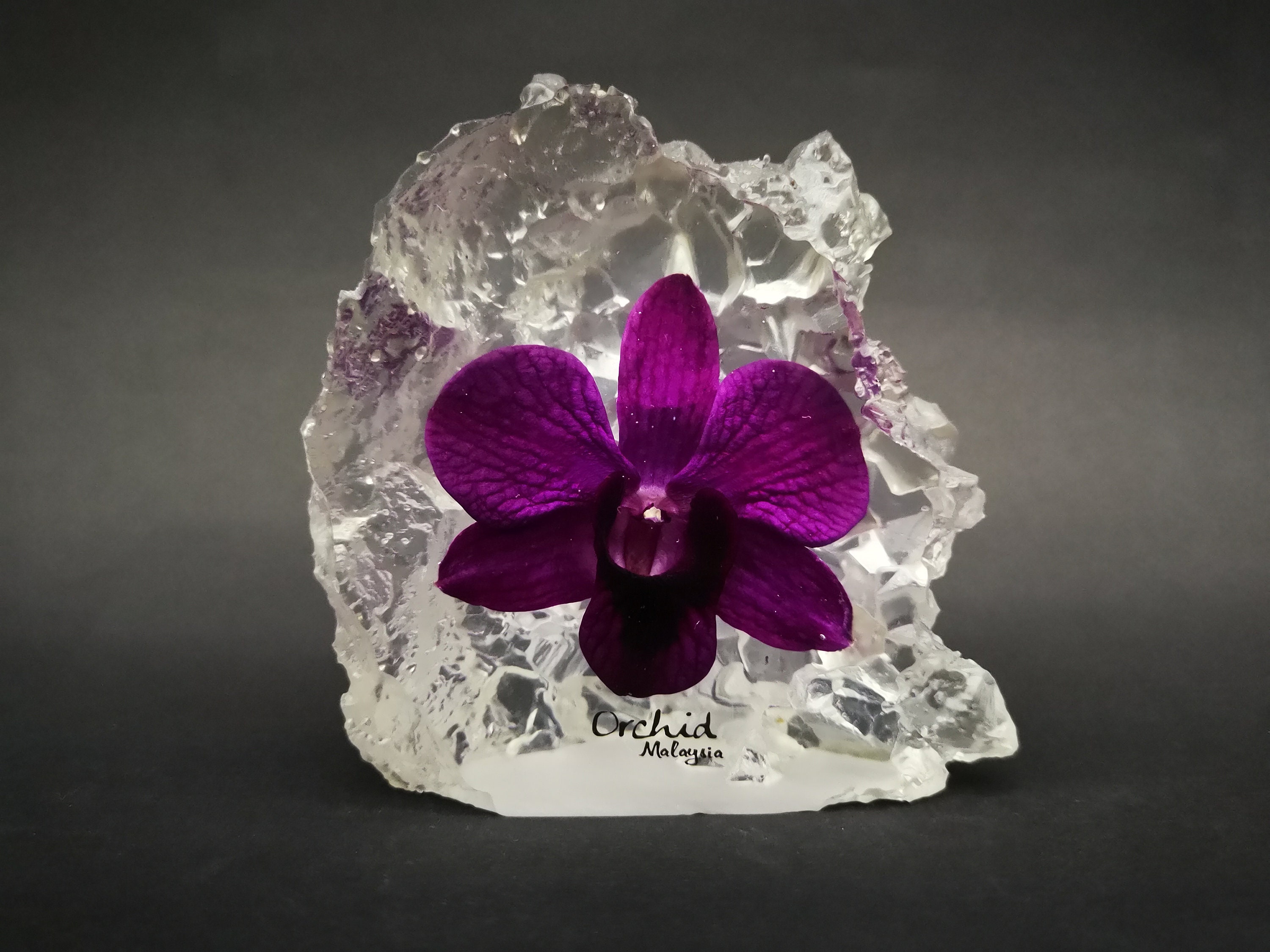 Real Orchid in Resin - Etsy