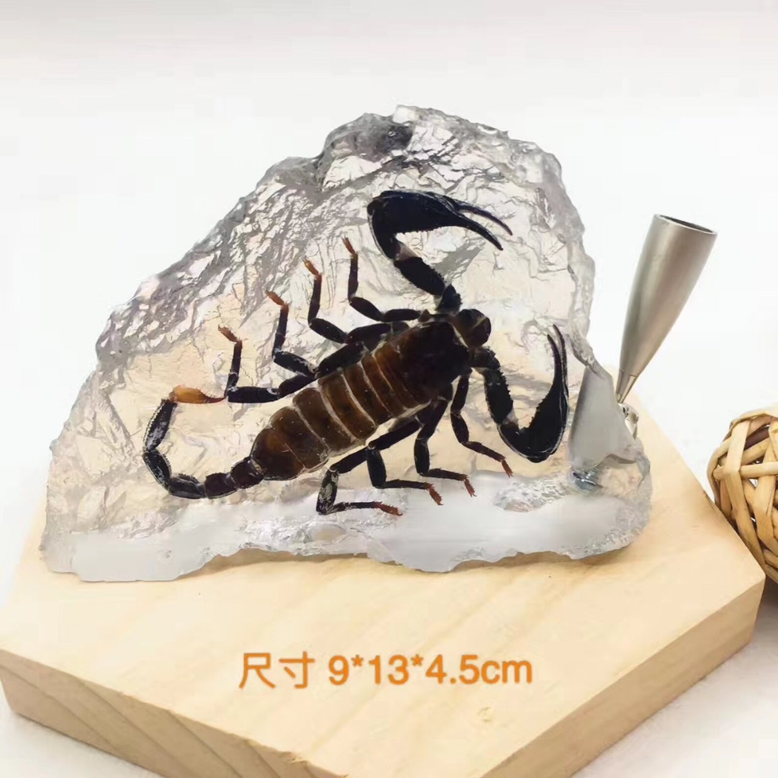 Real Scorpion in Resin Paperweight - Etsy
