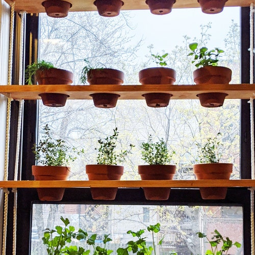 Triflora Hanging Planter for Window Indoor Herb Garden - Etsy