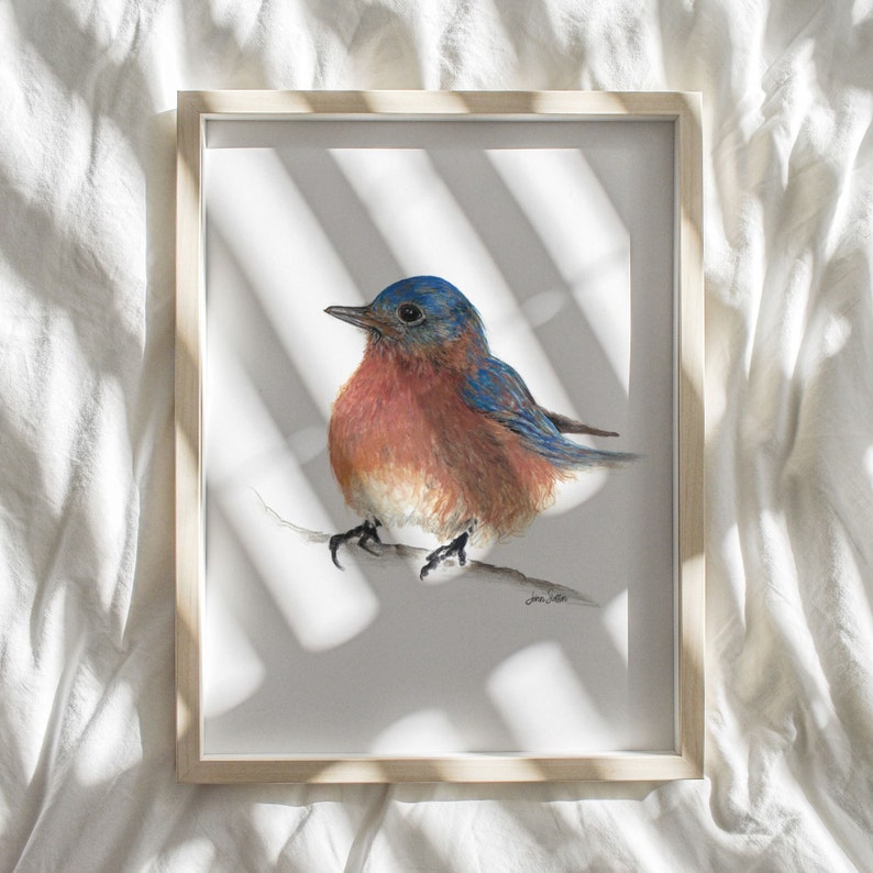 Bluebird Print, Bluebird Art Print, Painting of Bluebird, Bluebird ...