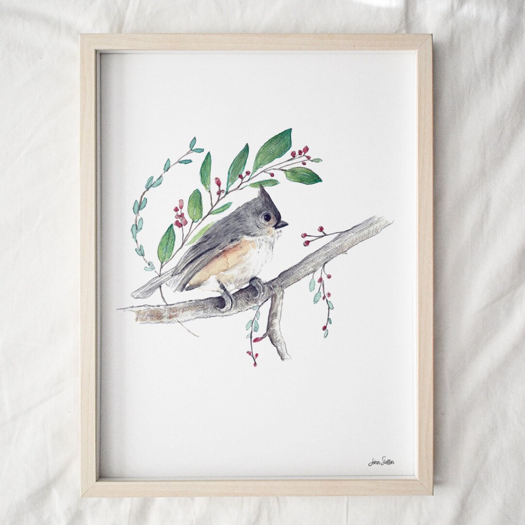 Tufted Titmouse Watercolor Painting, Tufted Titmouse Songbird, Tufted ...