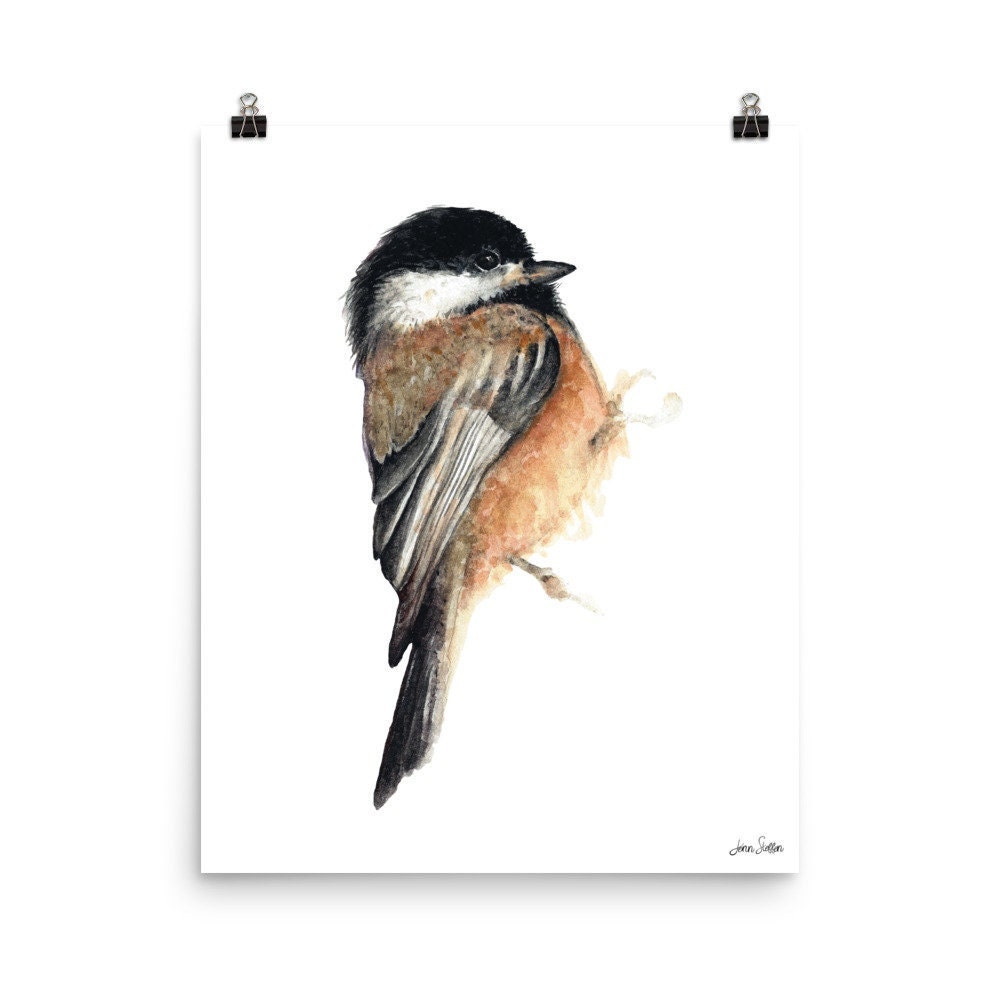 Chickadee Print Watercolor Chickadee Painted Chickadee Bird - Etsy