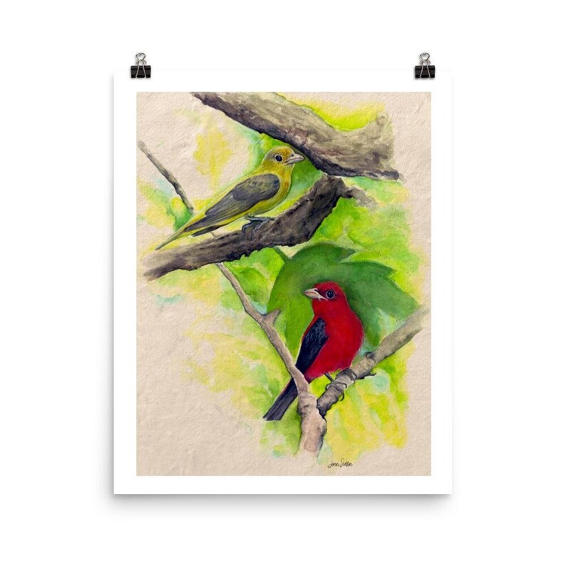 Scarlet Tanager Couple Watercolor, Tanager Bird Art, Scarlet Tanagers ...