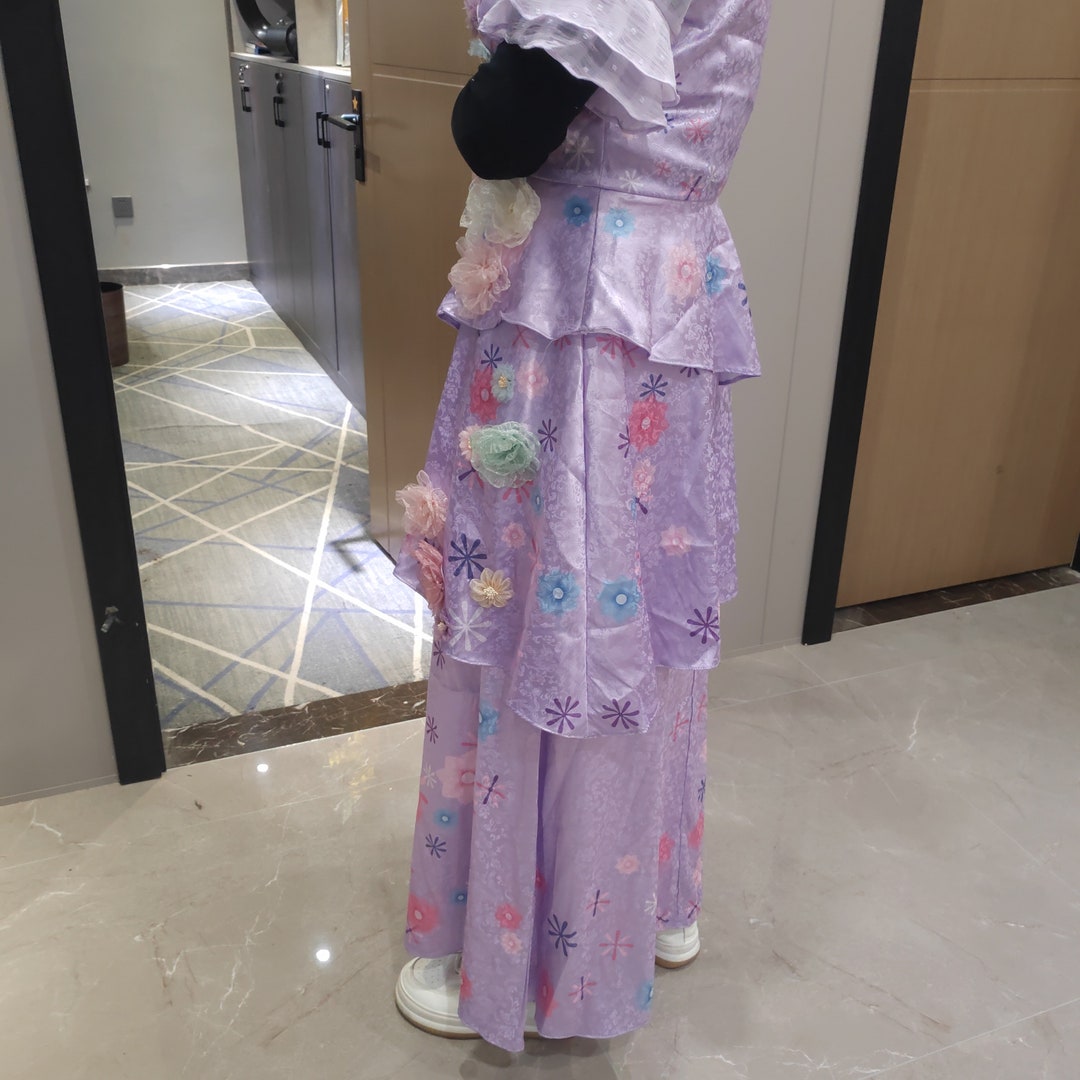 Isabela Dress Isabela Cosplay Costume Adult Princess Dress - Etsy