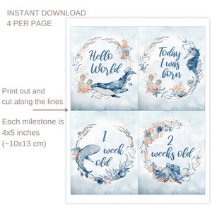 Sea Life Baby Milestone Cards Instant Download. Printable Ocean Baby ...