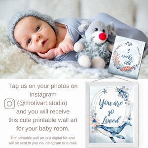 Sea Life Baby Milestone Cards Instant Download. Printable Ocean Baby ...