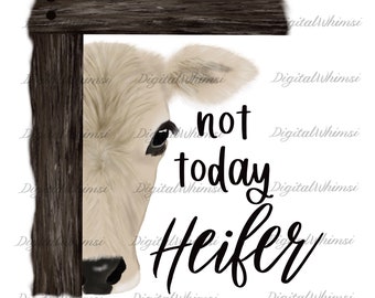 Not Today Heifer, PNG, Digital Download, Heifer, Cow, Highlander - Etsy
