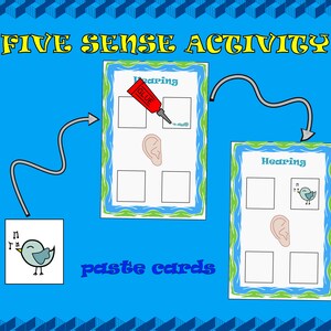 5 Senses Learning Activity, Five Senses Sorting Activity, Homeschool ...