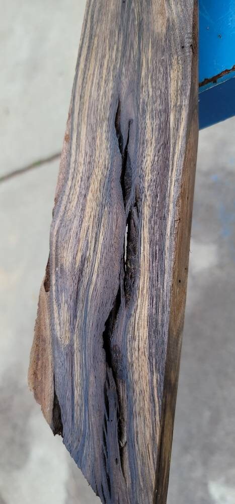 Beautiful Black Walnut Root Burl Slices. Check Pics for Sizes. I ...