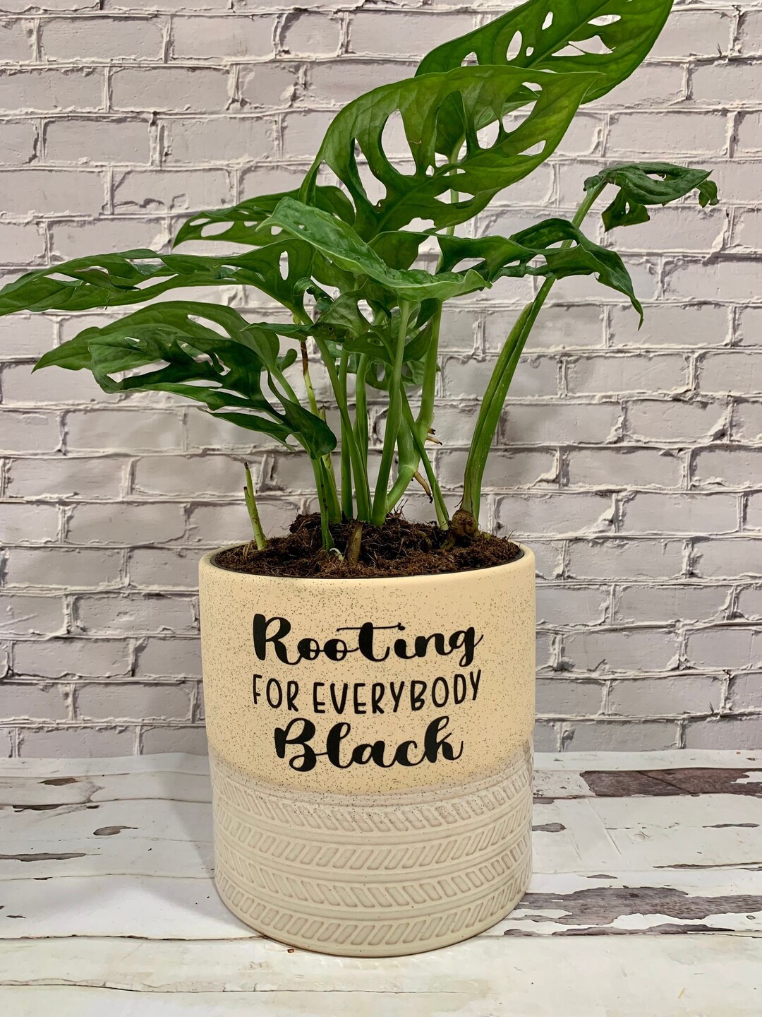 6 Inch Ceramic “rooting for Everybody Black” Planter Pot - Etsy