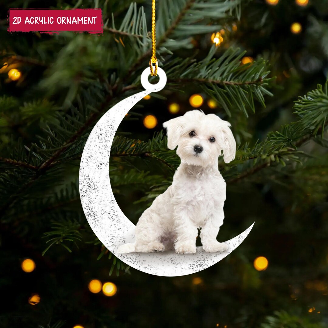 Maltese Sitting on the Moon Christmas Ornament, Personalized Maltese ...