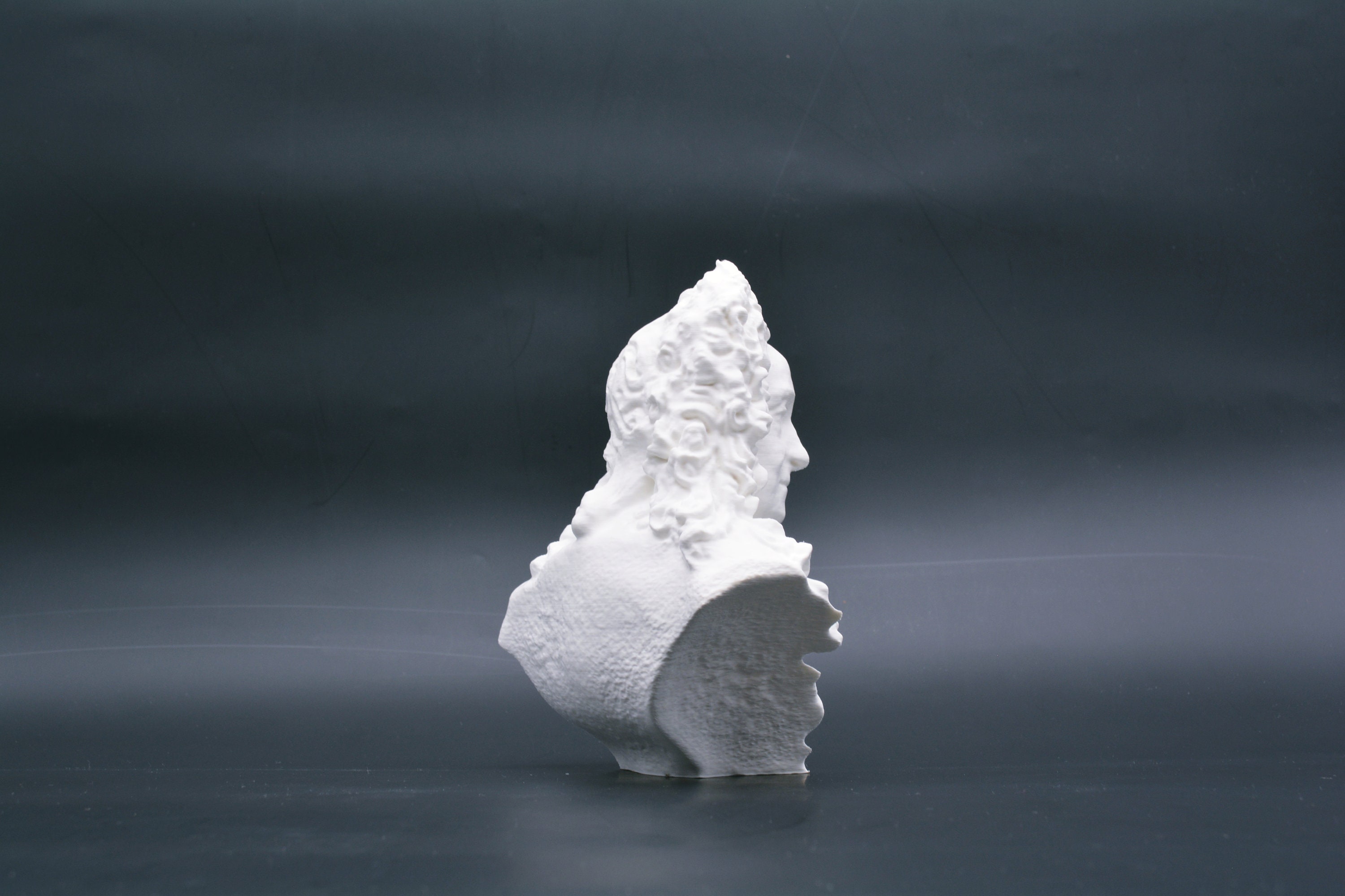 Bust of Sir Isaac Newton - 3D Printing - Etsy