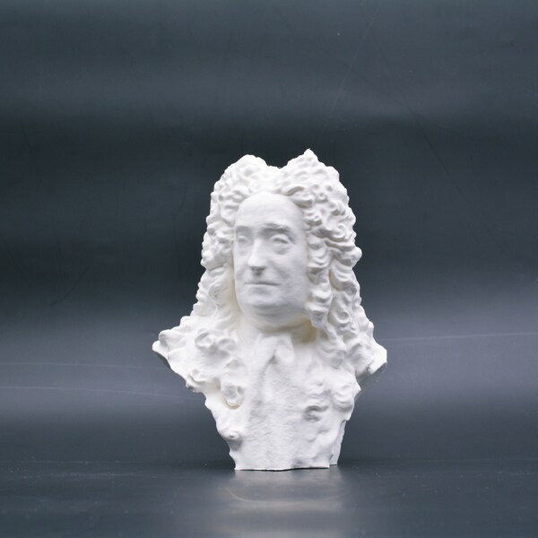 Bust of Isaac Newton - Etsy