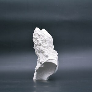 Bust of Sir Isaac Newton - 3D Printing - Etsy