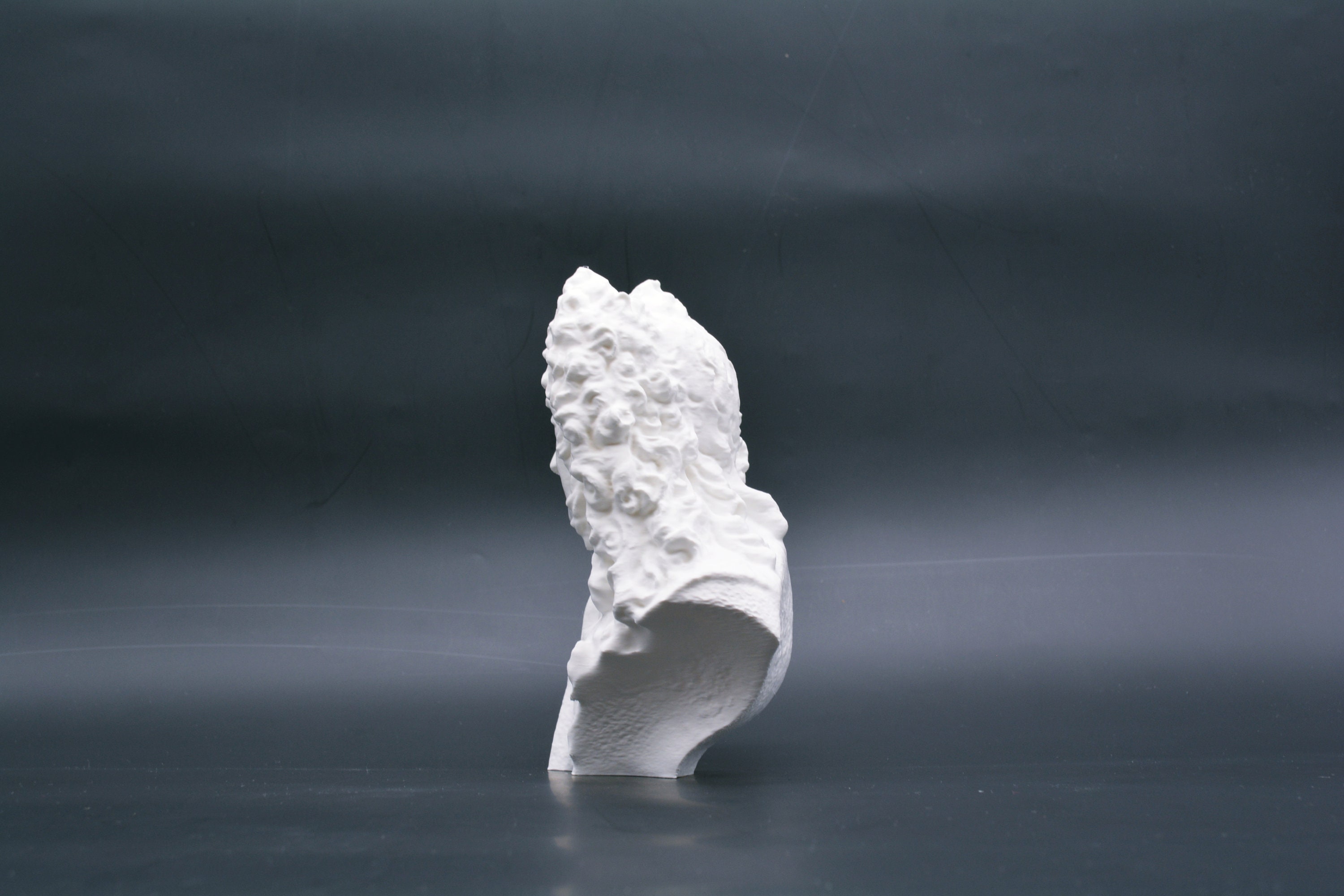 Bust of Sir Isaac Newton - 3D Printing - Etsy