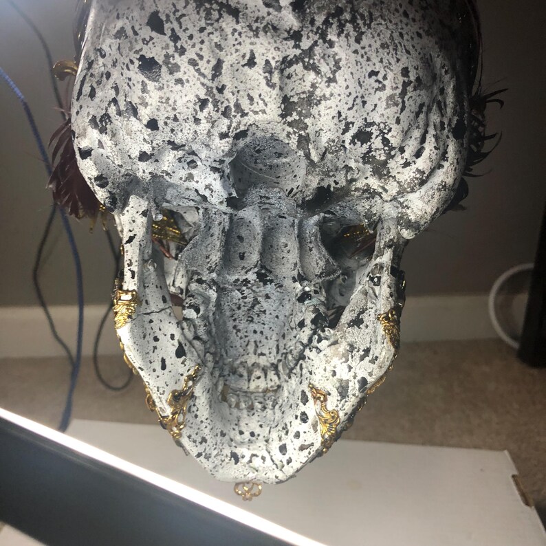 Custom Vampire Royalty Warrior Trophy Head Gothic Skull Armor Medieval ...