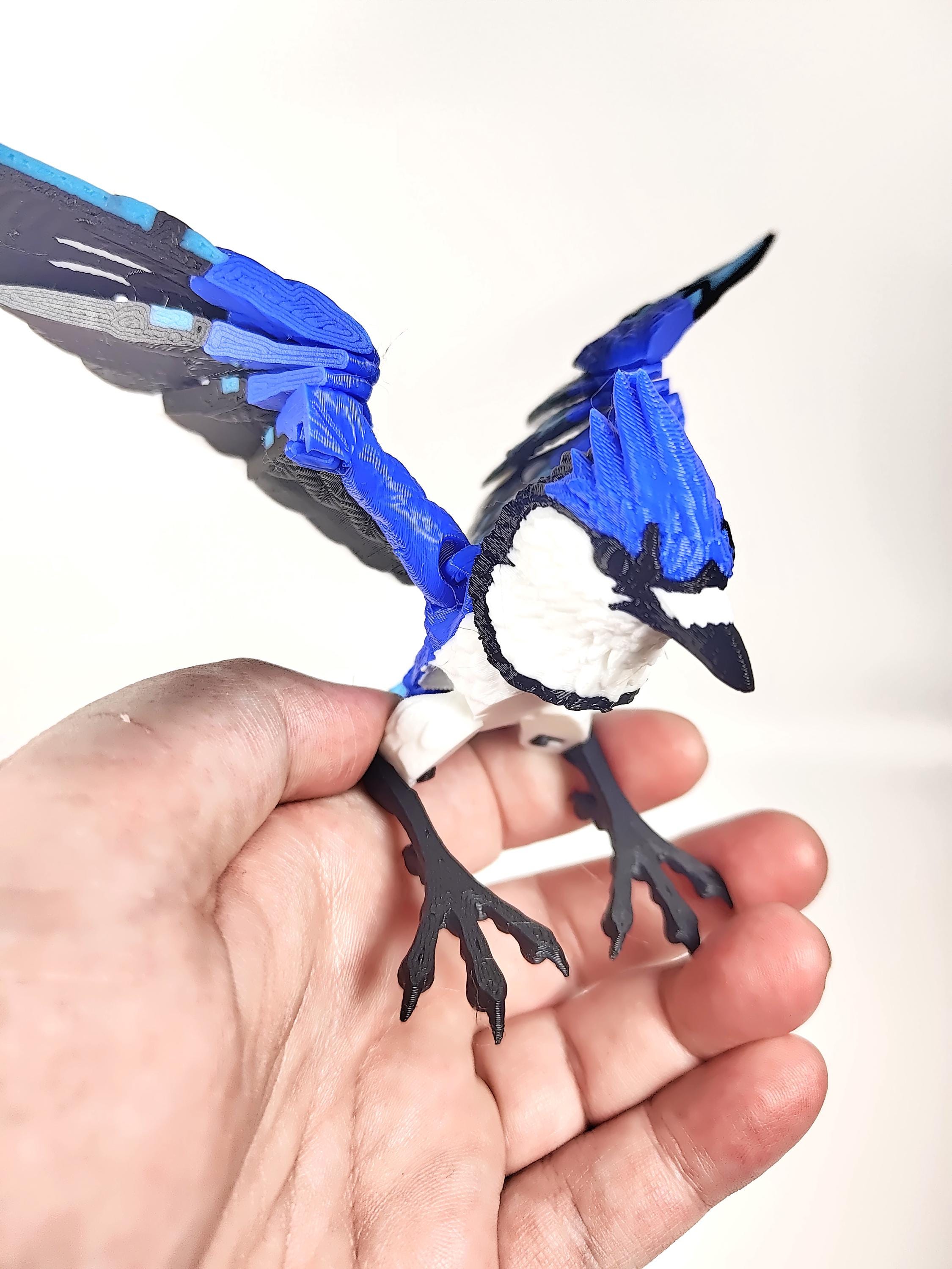 3D Printed Articulated American Blue Jay: Poseable Bird Fidget Toy - Etsy