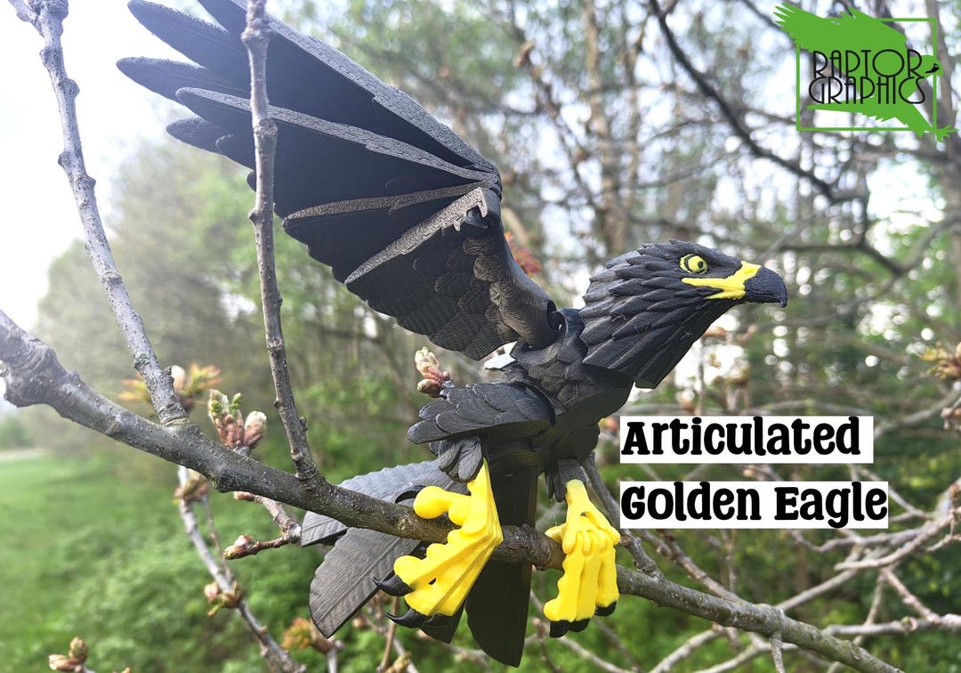 Articulated Golden Eagle Model 3D Printed Bird - Bird of Prey - Bird ...