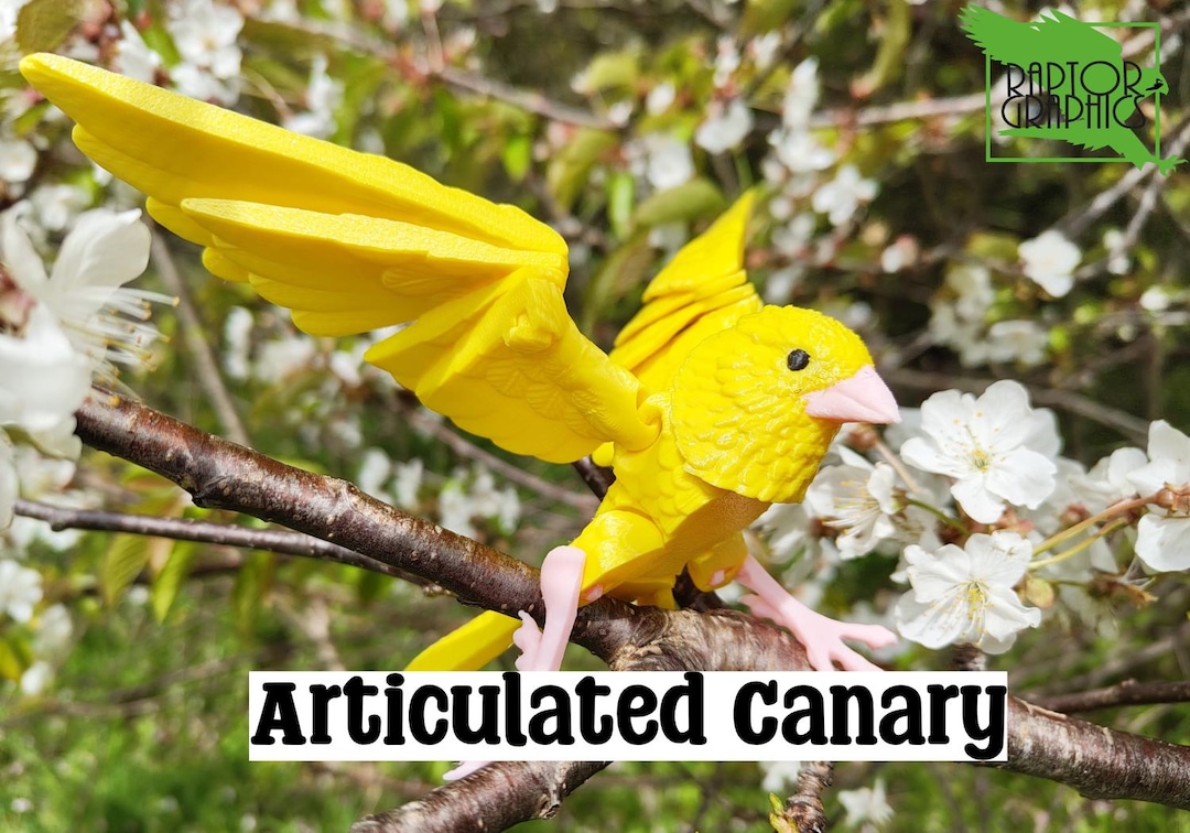 Articulated Canary Model 3D Printed Bird - Articulated Bird - Bird ...