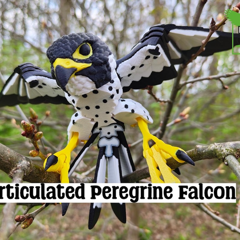 3d Printed Birds of Prey - Etsy UK