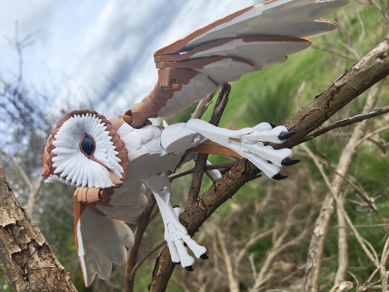 3D Printed Articulated Barn Owl Model: Poseable Bird Fidget - Etsy UK