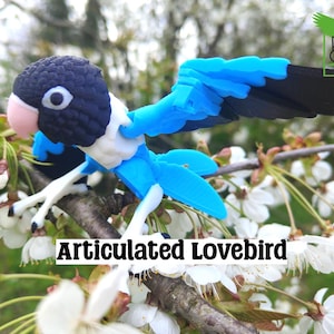 3D Printed Articulated Lovebird: Poseable Bird Fidget Toy - Etsy