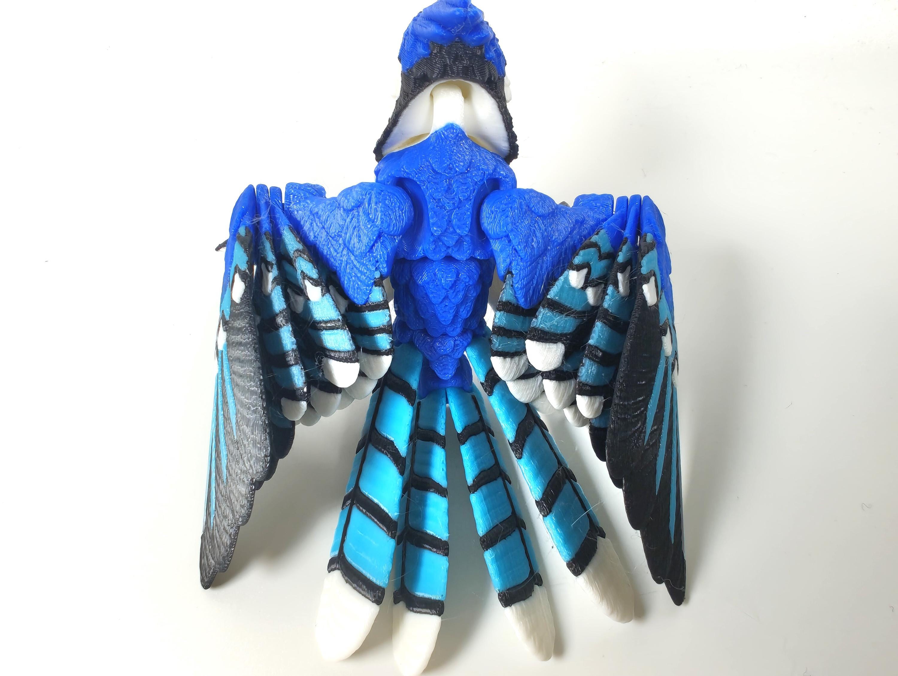 3D Printed Articulated American Blue Jay: Poseable Bird Fidget Toy - Etsy