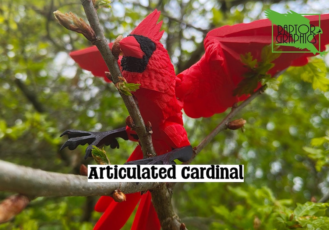 Articulated Cardinal Model 3D Printed Bird - Flexi Cardinal - Bird ...
