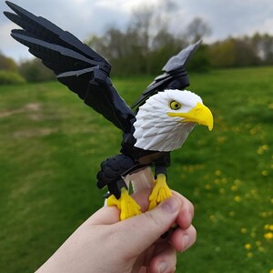 Articulated Bald Eagle Model 3D Printed Bird - Bird of Prey - Bird ...