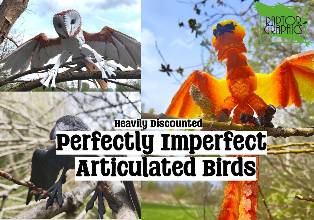 3D Printed Articulated Bird - Seconds Imperfect Fidget Toy - Etsy UK
