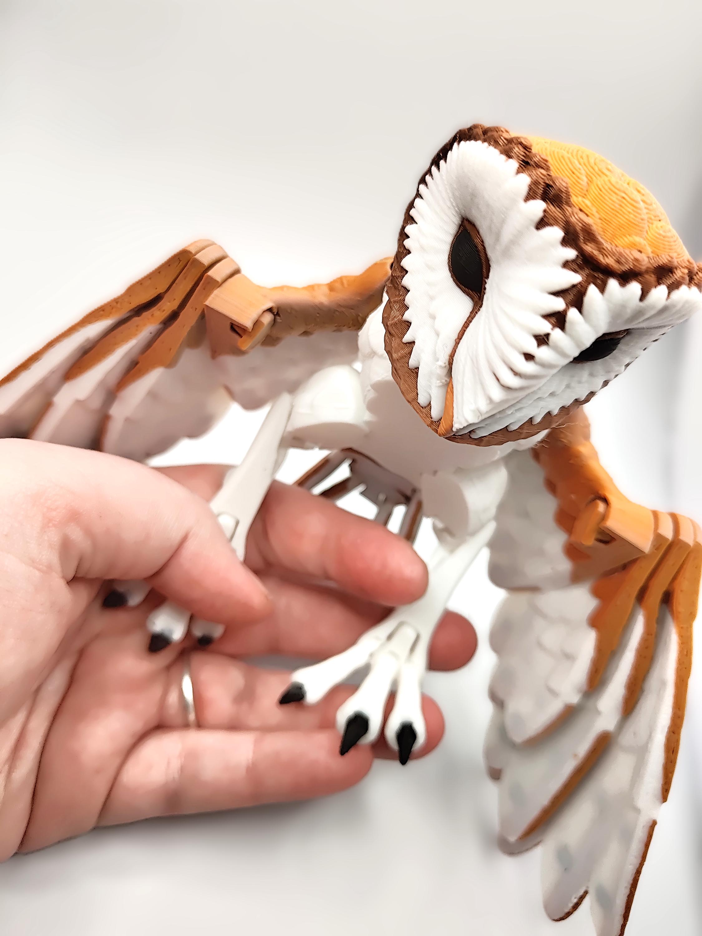 3D Printed Articulated Barn Owl Model: Poseable Bird Fidget - Etsy UK