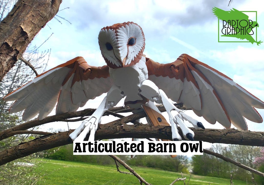 Articulated Barn Owl Model 3D Printed Owl - Bird of Prey - Bird ...