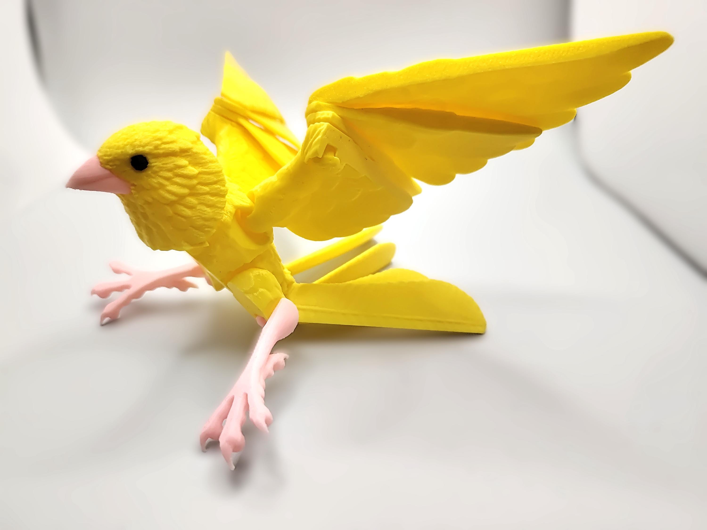 3D Printed Articulated Canary Model: Poseable Bird Fidget Toy - Etsy