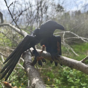 3D Printed Articulated Raven: Poseable Bird Fidget Toy - Etsy