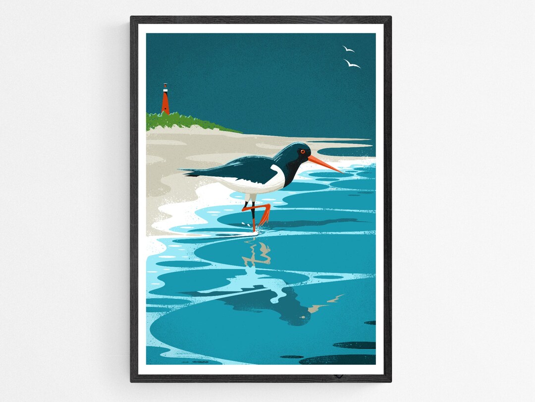 Oystercatcher Bird Poster, National Park Schiermonnikoog Art Print ...