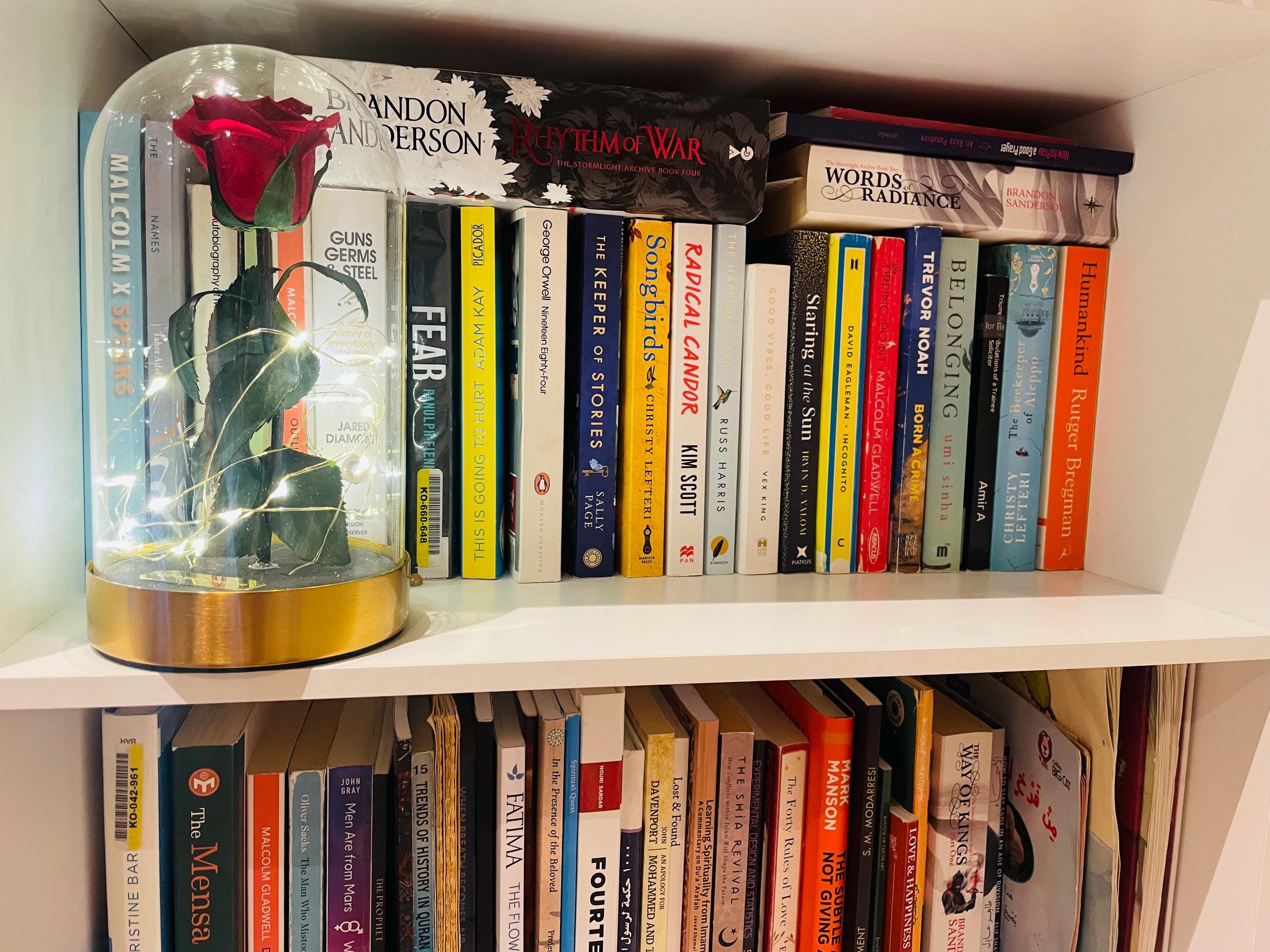 Real Preserved Red Rose in Glass Dome With Fairy Lights Valentines Gift ...