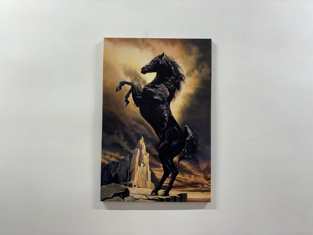 Black Stallion Canvas Print: Horse Wall Art Decor - Etsy