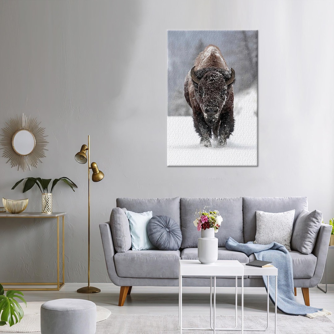 Wild Bull Artwork, American Bison Canvas Print, Sandy Sisti Art Canvas ...