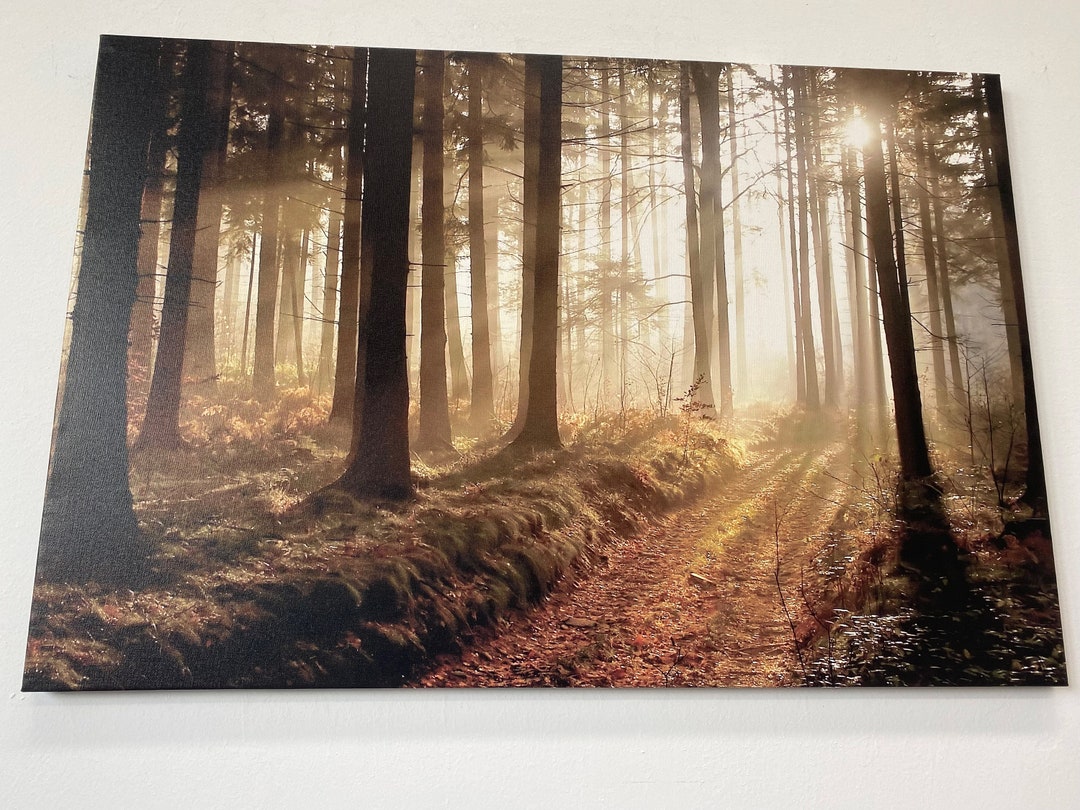 Sunset Forest Path Canvas Print: Nature Wall Art Decor - Etsy