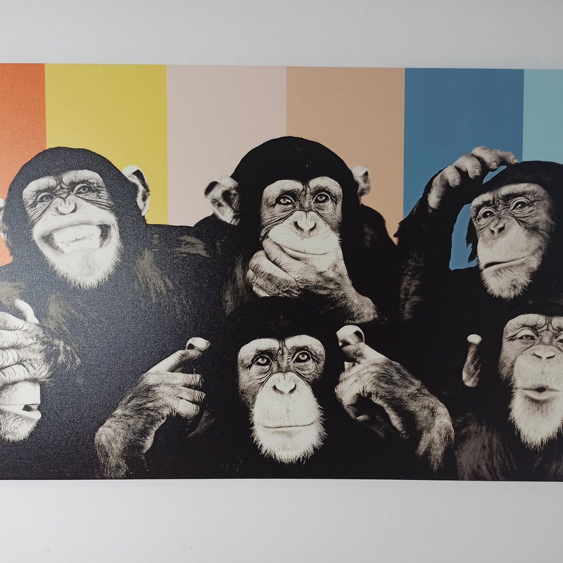 Monkey Wall Art - Etsy