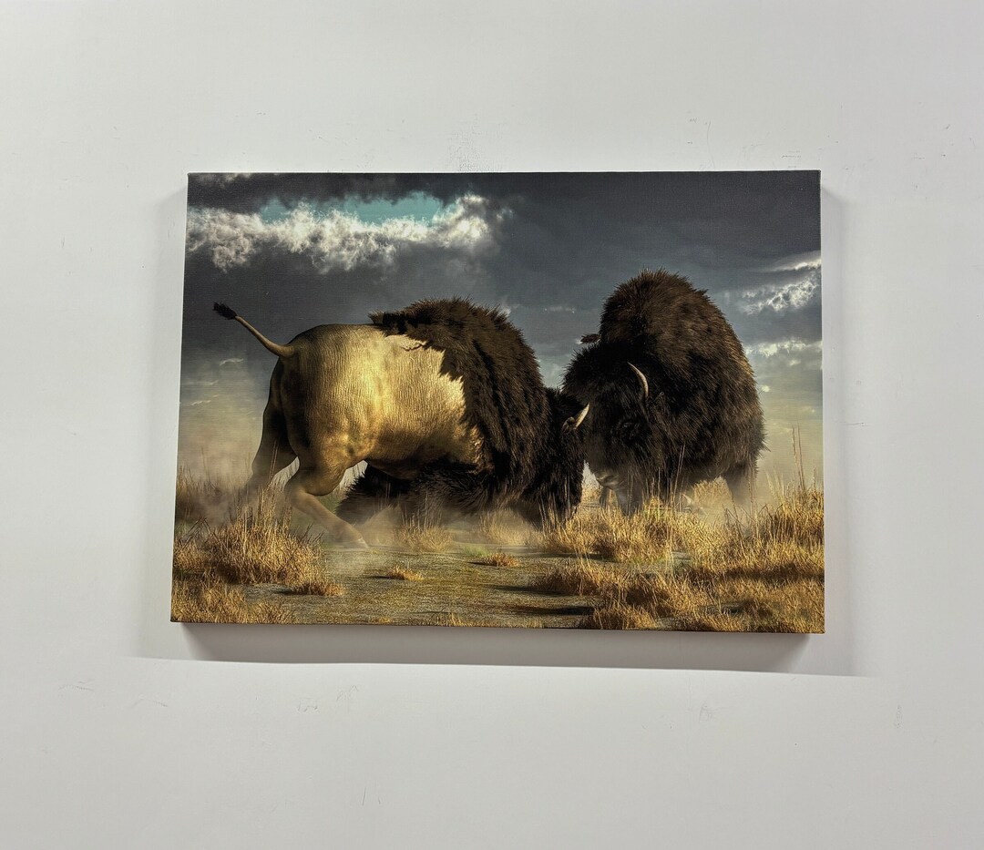 Two Bison Canvas Print: American Buffalo Wall Art - Etsy