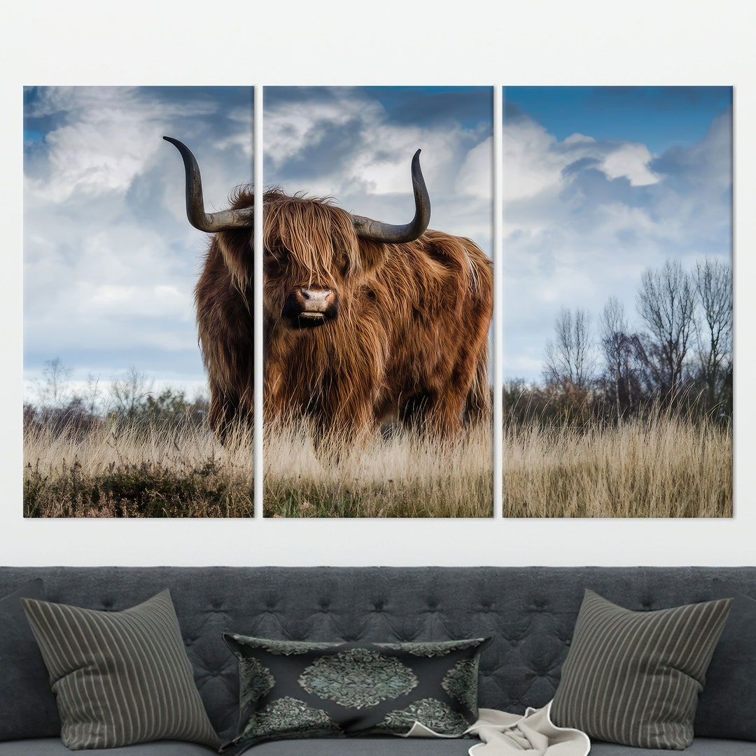 Highland Cow Canvas Print: Scottish Farmhouse Wall Decor - Etsy