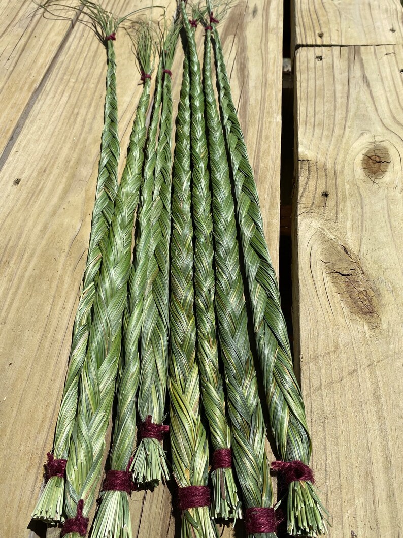 Sweetgrass Braid Recent Harvest Sweet Grass Incense - Etsy UK