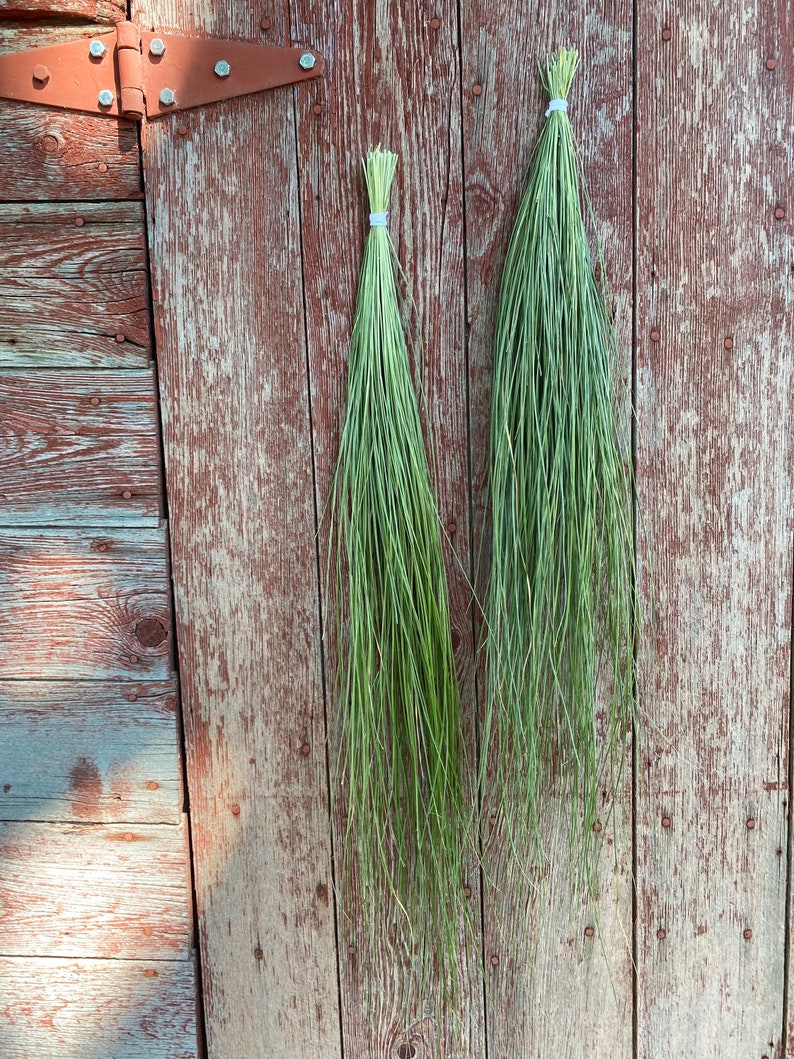 Fresh Cut Sweetgrass Bundle - Etsy