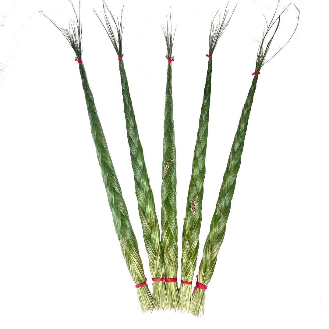 Premium Sweetgrass Braid - Set of 5 - Fragrant, Thick, Authentic ...