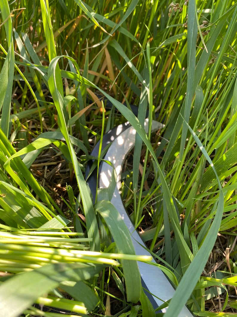 Sweetgrass Braid Recent Harvest Sweet Grass Incense - Etsy UK
